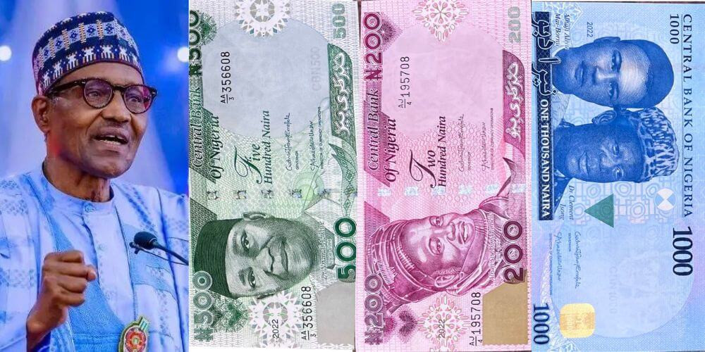 "Today, redesigned Naira notes are in circulation: - CeZzA's Blog.